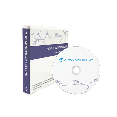 Find the Right Study - Catholic Way Bible Studies